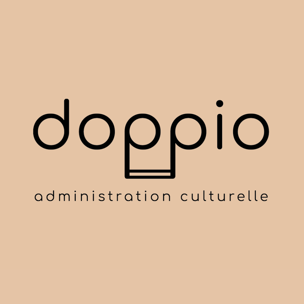 Création de site web et d'identité graphique pour Doppio administration ...